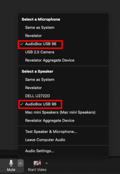 Audiobox USB 96: Using your Audiobox with Video Conferencing Software ...